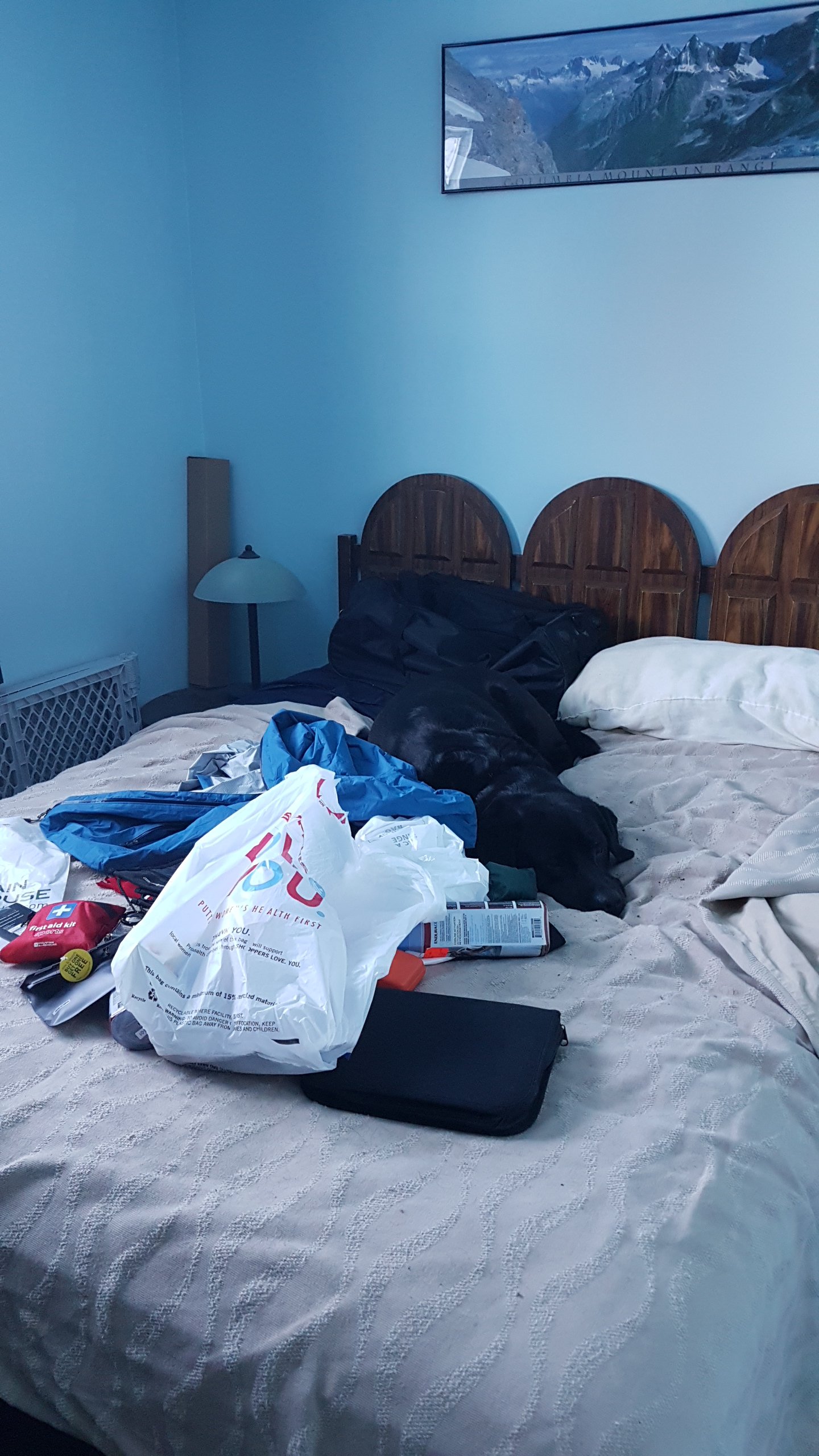 A new year, adventure and blog layout – My Random Ramblings